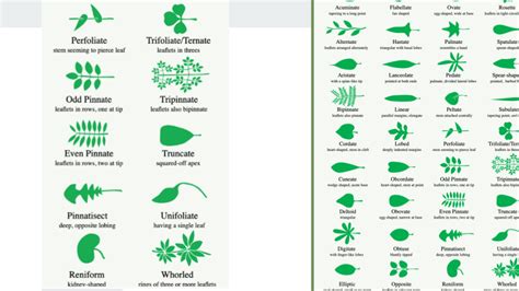 Hyperbolic Geometry Of Dmt Experiences Copy 5 Qualia Computing