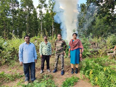 Odisha Police On Twitter Rt Spkandhamal In Continuous Drive Against