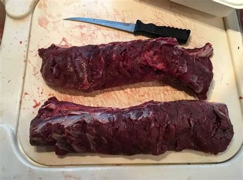 How Much Does A Deer Backstrap Weigh • Support Wild