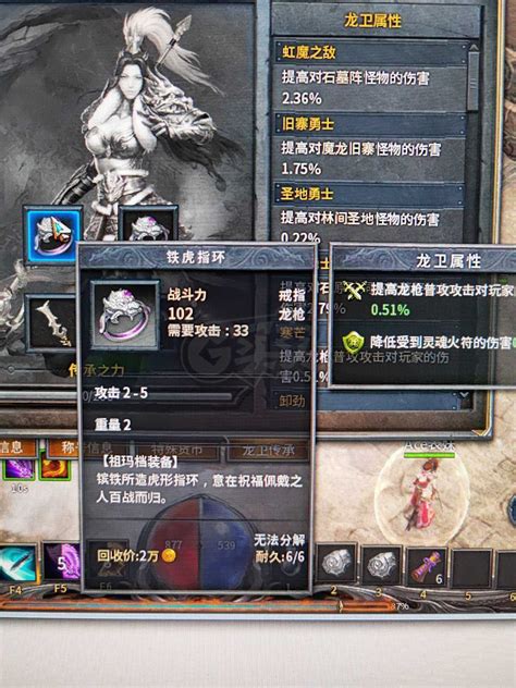 G买卖 飞鸿 47 龙枪 匪女 经验87