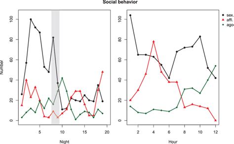 Nightly N 19 And Mean Hourly N 12 Fluctuations In The Number Of Download Scientific