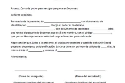 Carta Poder Para Recoger Paquetería Modelo Canvas