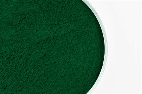 페트리 접시에 스피루리나 가루 클로즈업 위에서 본 모습 흰색 배경에 스피루리나 슈퍼 푸드 생물 첨가물 녹색 에코 0명에 대한 스톡 사진 및 기타 이미지 Istock