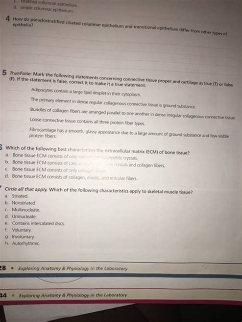 Solved Stratified Columnar Epithelium D Simple Columnar Epithelium
