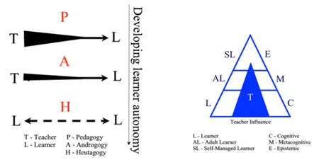Combined Pedagogy Andragogy And Heutagogy Model Download Scientific