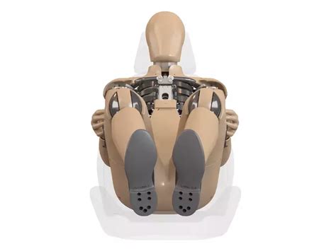 Thor Av 50m Atd Humanetics