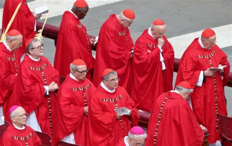 The College Of Cardinals Explained