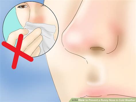 How To Prevent A Runny Nose In Cold Weather 8 Steps