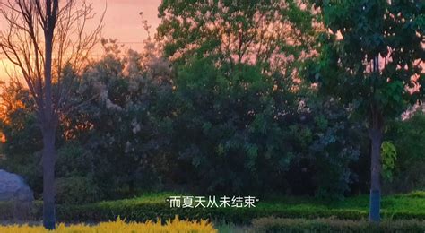 “重是重逢的重庆，是庆幸的庆”“我们一定会相见！”哔哩哔哩bilibili