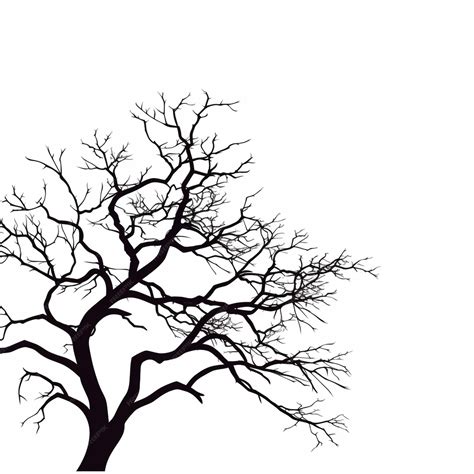 Premium Ai Image Eucalyptus Tree With Isolated Background Tree 3d Render