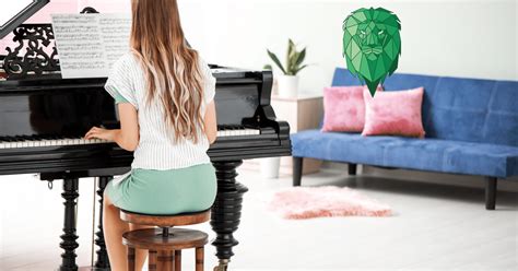 Piano Case - Van-247