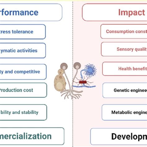 Process Flow Diagram Of Soybeans This Figure Was Created Using