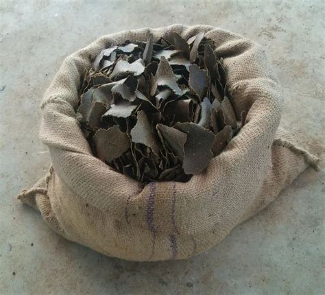 Mustard Oil Cake At ₹ 30kg Mustard De Oiled Cake In Rewa Id 26051971797