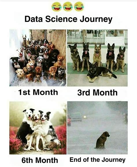 Papisetty Sampath Kumar On Linkedin Out Of The 4 Stages Which Stage