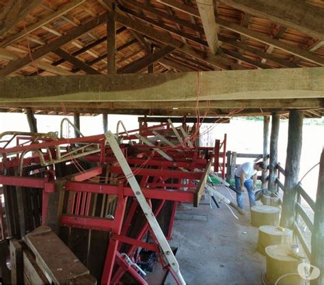 Fazenda Km Campo Grande OFERTAS Vazlon Brasil