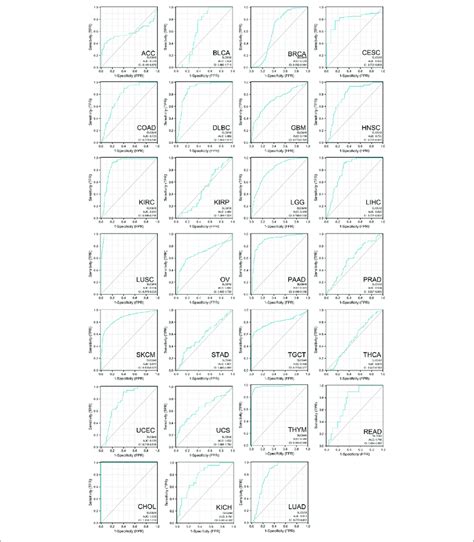 Roc Analysis Showing Predictive Potential Of Slc6a8 In Pan Cancer