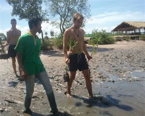 Environmental Volunteering Cambodia Volunteer Overseas Work With Ivi