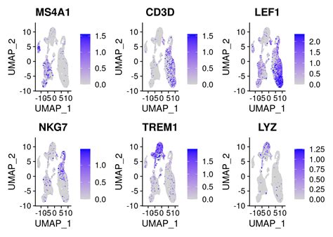 Signac Integration And Clustering Of Chromap Quantifications