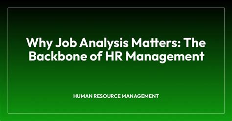 Why Job Analysis Matters The Backbone Of Hr Management • Slm Self