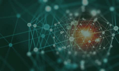 Emily Ranieri College Of Veterinary Medicine And Biomedical Sciences