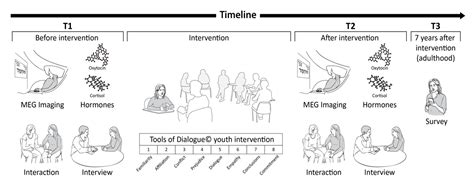 Respectful Dialogue Begins With Training The Brain