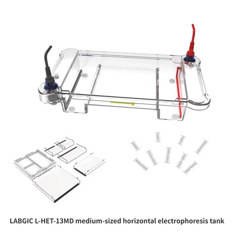 Labgic Dna Rna
