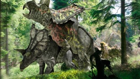 Forscher Rätseln Wie Hatten Dinos Sex B Z Die Stimme Berlins