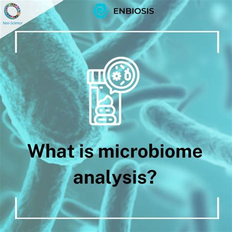 How Microbiome Analysis Affects Your Health Neo Science Posted On The Topic Linkedin