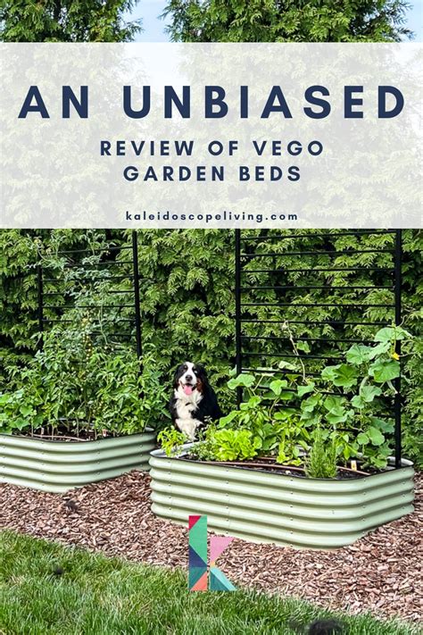 Raised Garden Beds Vego At Mark Bateman Blog