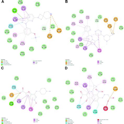predicted molecular interactions between selected ligands and pim 1