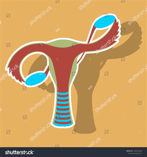 Sticker Showing Female Reproductive System Illustration Stock Vector