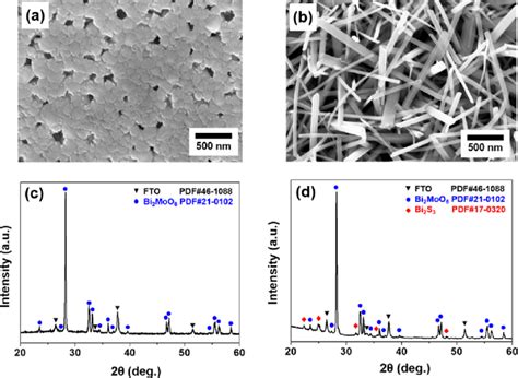 Sem Images And Xrd Patterns Of Ac Bi 2 Moo 6 And Bd Bi 2 Moo 6