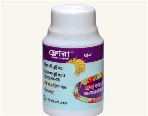 ছাদ বাগান