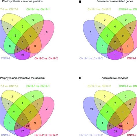Number Of Degs Between Different Comparison Groups A Photosynthesis