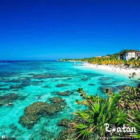 Roatan White Sand And Turquoise Water Beaches Roatan Roatan Island