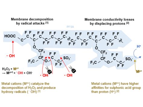 Metal Elusion Imaging Using Micro Xrf To Identify The Root Cause Of
