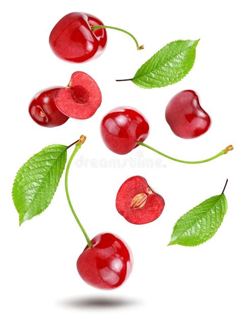 Flying Red Cherry Fruits Isolated On White Background Clipping Path