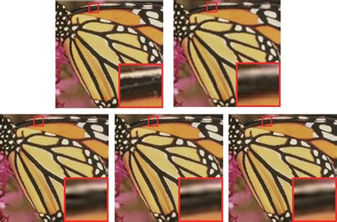 Reconstructed Hr Images Scaling Factor 3 Of A Butterfly By Different Download Scientific