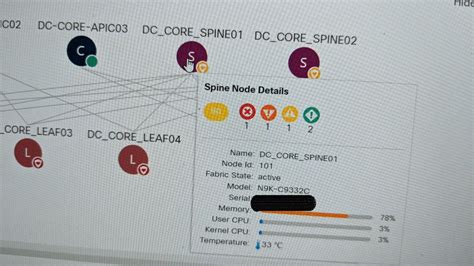 Fabric Nodes In Moderate To High Memory Usage Without User Traffic