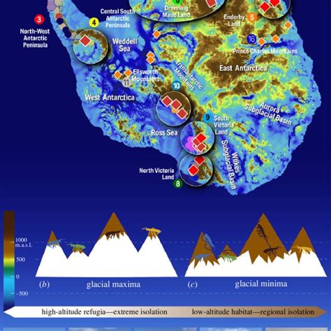 A Distribution Of Springtail Species Shown As Coloured Dots With
