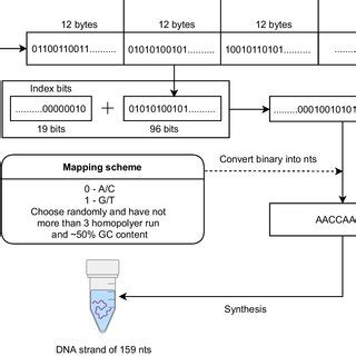 Diagram Of The Encoding Algorithm Reported By Blawat Et Al The