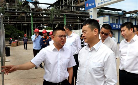 重庆钢铁总裁谢志雄一行到德胜钒钛参观交流新闻动态看·新闻四川德胜集团钒钛有限公司