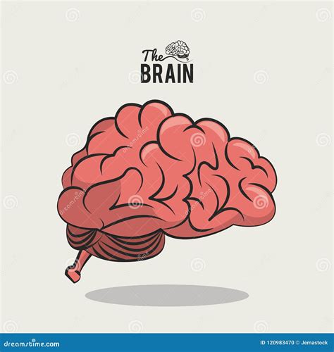 El cerebro humano ilustración del vector Ilustración de sentidos
