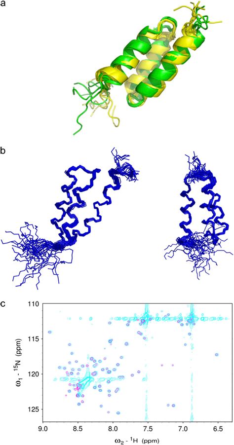 The Structural Impact Of A Polyglutamine Tract Is Location Dependent