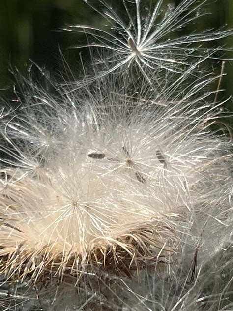 Flash Fiction Monica Dickson Temple In A City