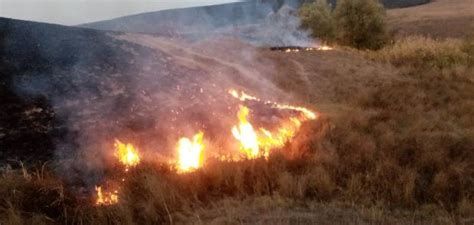 700 DÖNÜM ANIZ CAYIR CAYIR YANDI Devrim Gazetesi
