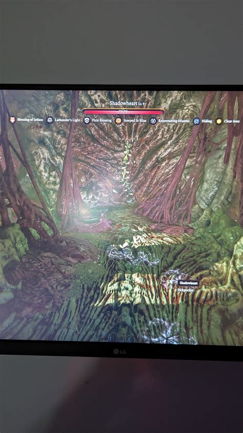 Characters Disappear After Latest Patch 4 Rbaldursgate3