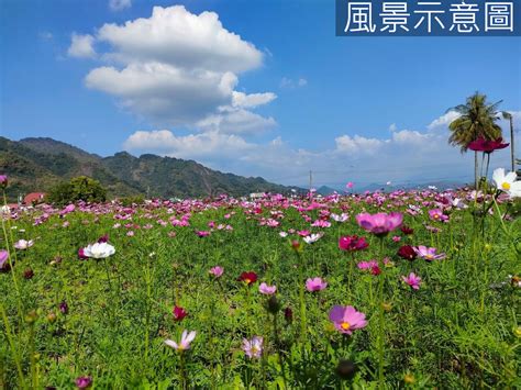 美濃都內~臨夜市臨路漂亮農地有水有電 高雄市美濃區美光段房屋 Yc0250985 永慶不動產