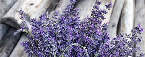 Lavanda В наличии и под заказ в подарок и для себя заколки резиночки ㈏ 2025 ВКонтакте