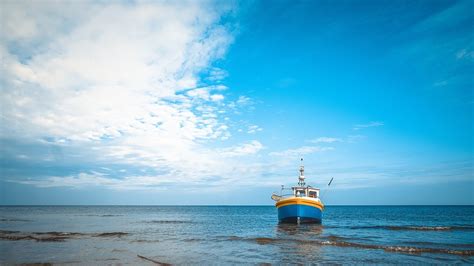 Сезонът за всички видове риба закъснява заради топлата морска вода
